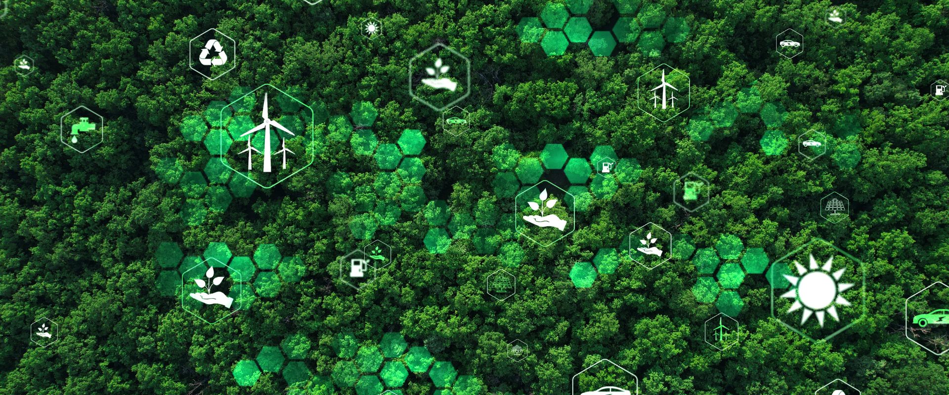 Carbon Projects – Yesearth Eco Consulting